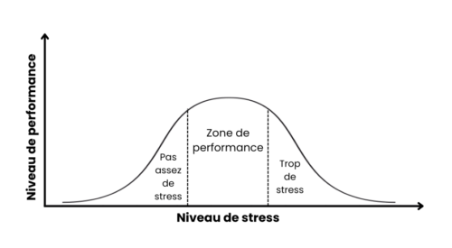 Stress au travail : le comprendre, le prévenir et le gérer - SCE